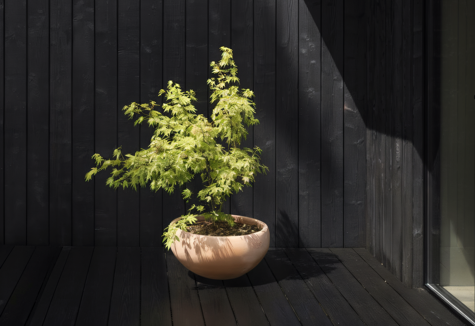 Koto Living x Grand Designs – Plant Drop